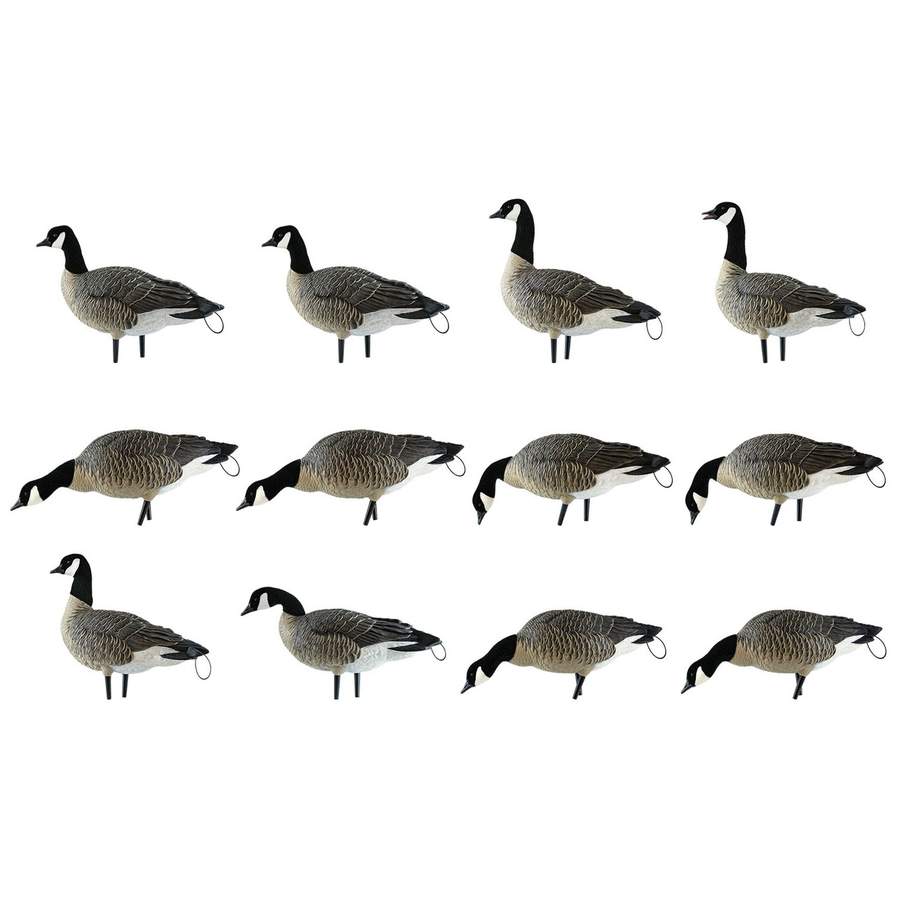 Avian-X AXP Lesser Canada Goose Decoys, 12 Pack | Rogers Sporting Goods