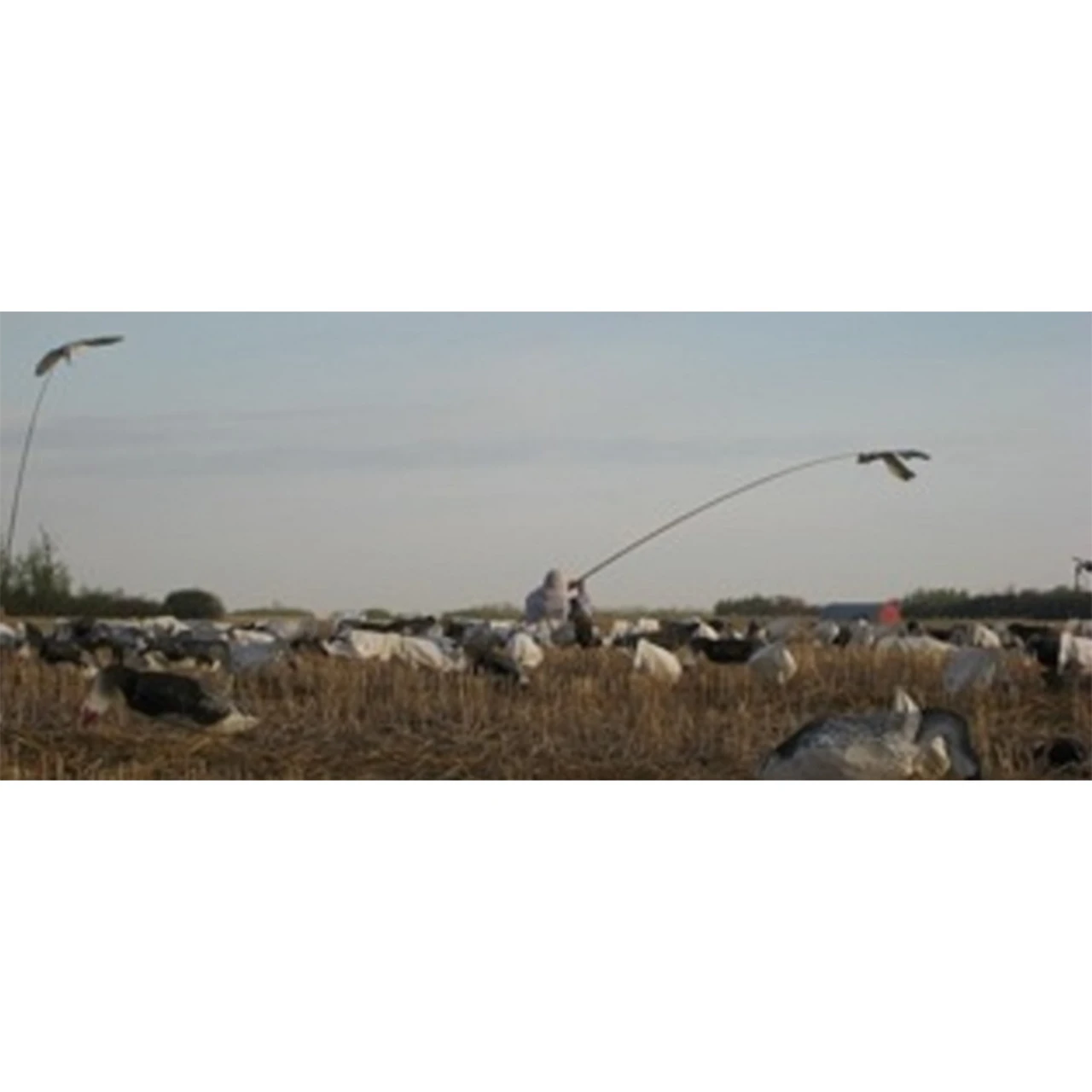 SilloSocks 12 Foot Telescopic Flag Pole | Rogers Sporting Goods