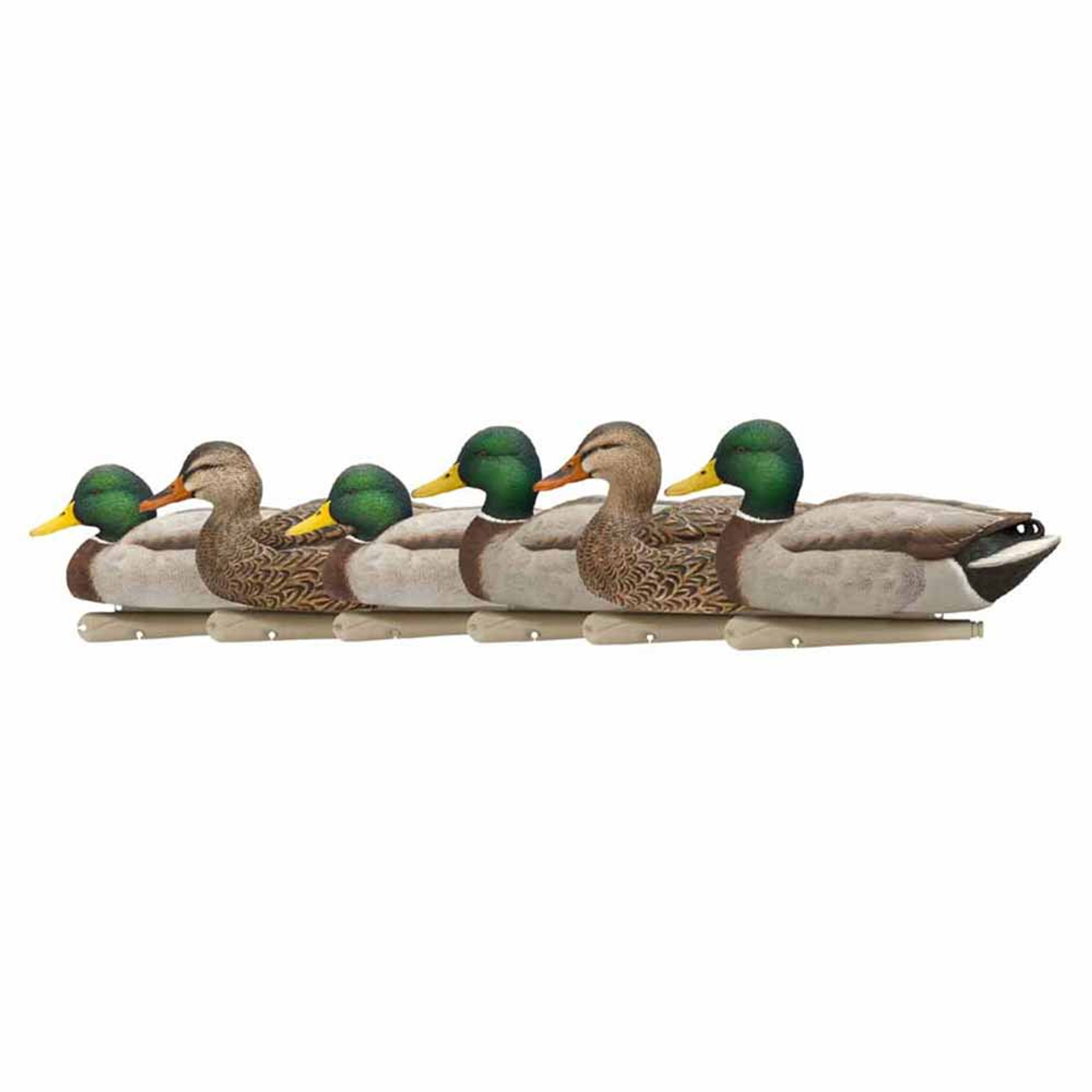 Avian-X Open Water Floating Mallard Duck Decoys, 6 Pack | Rogers ...