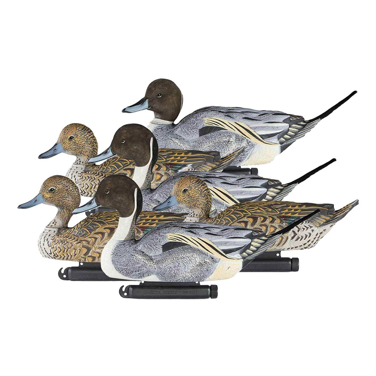Final Approach Last Pass Floating Pintail Decoys, 12 Pack | Rogers ...