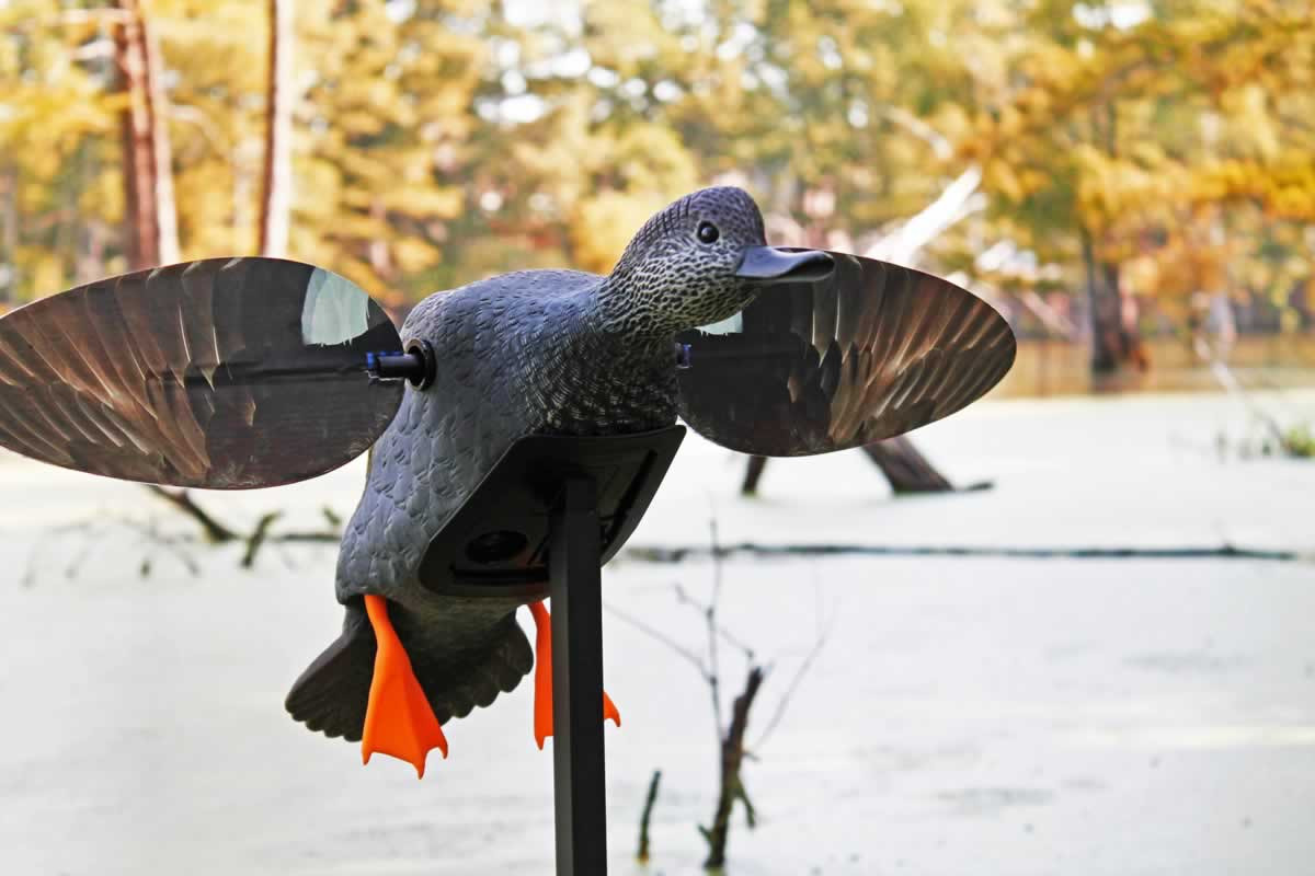 MOJO Spoonzilla Shoveler Spinning Wing Duck Decoy | Rogers Sporting Goods