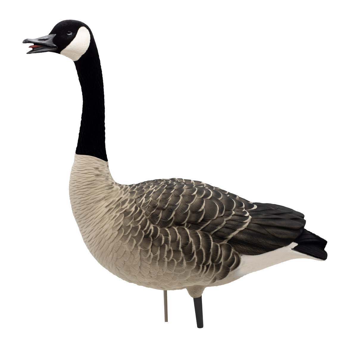 Avian-X AXF Fully Flocked Fusion Honkers | 6 Pack | Rogers Sporting Goods
