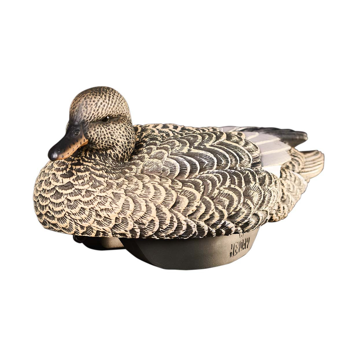 Heyday HydroFoam Gadwall Duck Decoys - 6 Pack | Rogers Sporting Goods