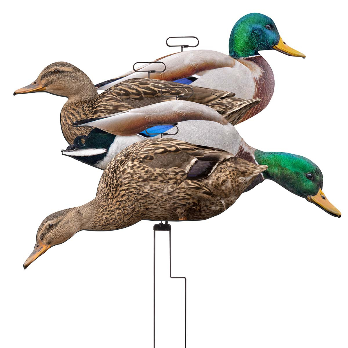Big Al's Decoys Life Like Mallard Duck Silhouette Decoy, 12 Pack ...
