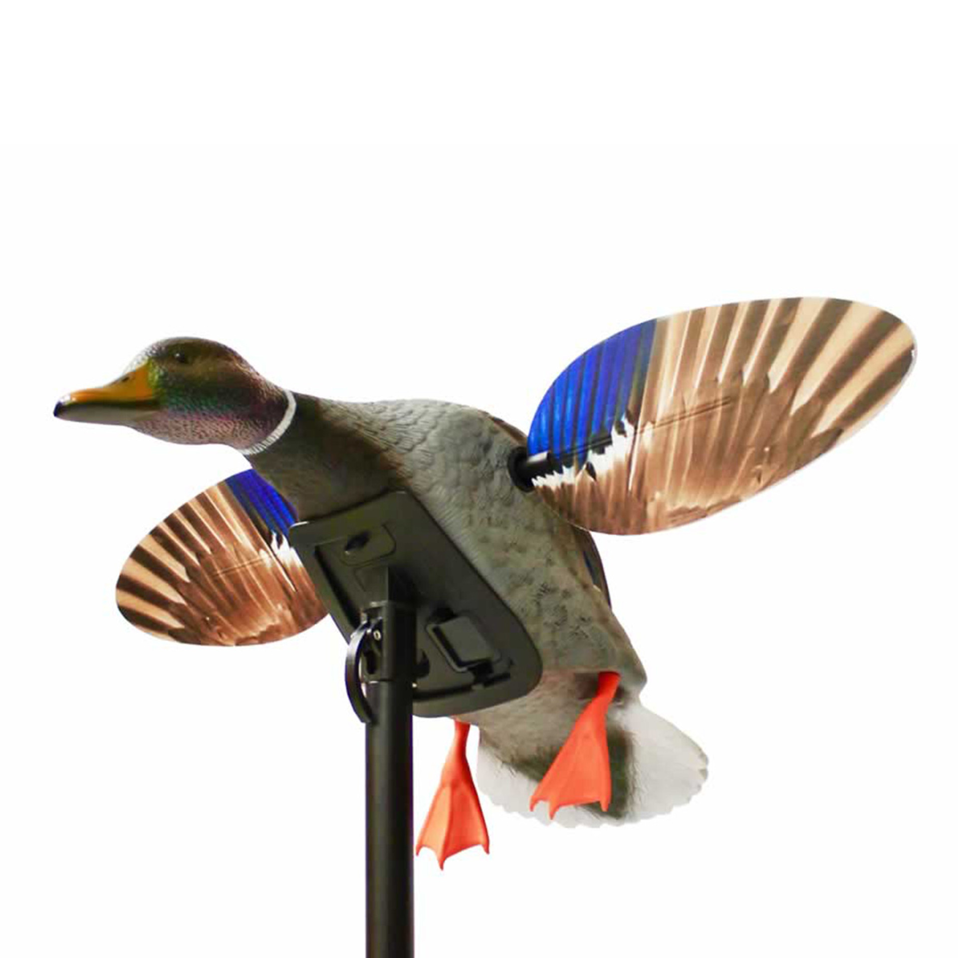 Mojo Outdoors Elite Series Mini Mallard Drake Motorized Duck Decoy ...