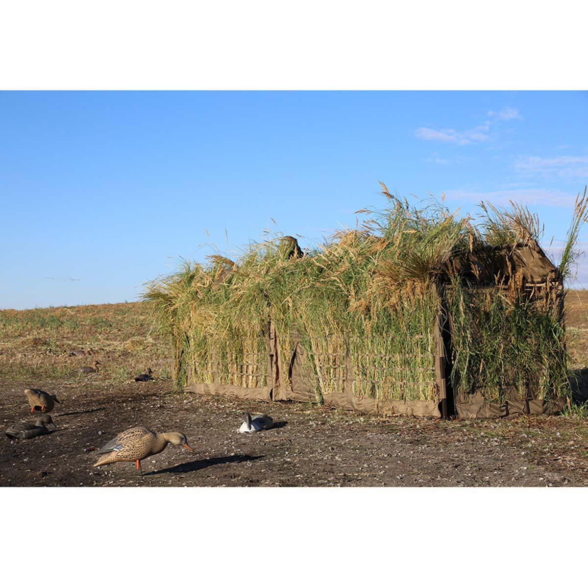 ALPS OutdoorZ Ducks Unlimited Alpha Waterfowl Blind | Rogers Sporting Goods