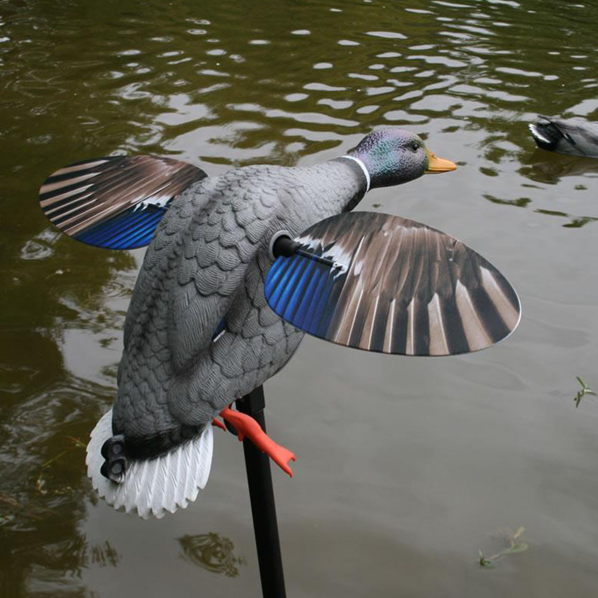 Mojo Baby Mojo Decoy | Rogers Sporting Goods
