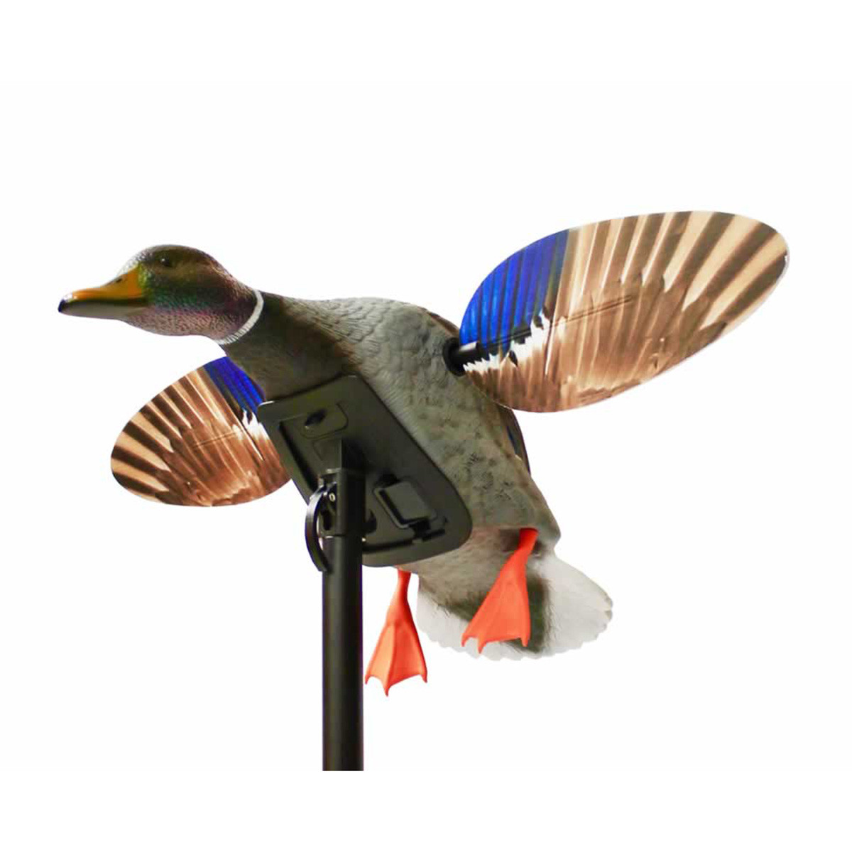 MOJO Mini Mallard Drake MJ-HW2470 | Rogers Sporting Goods