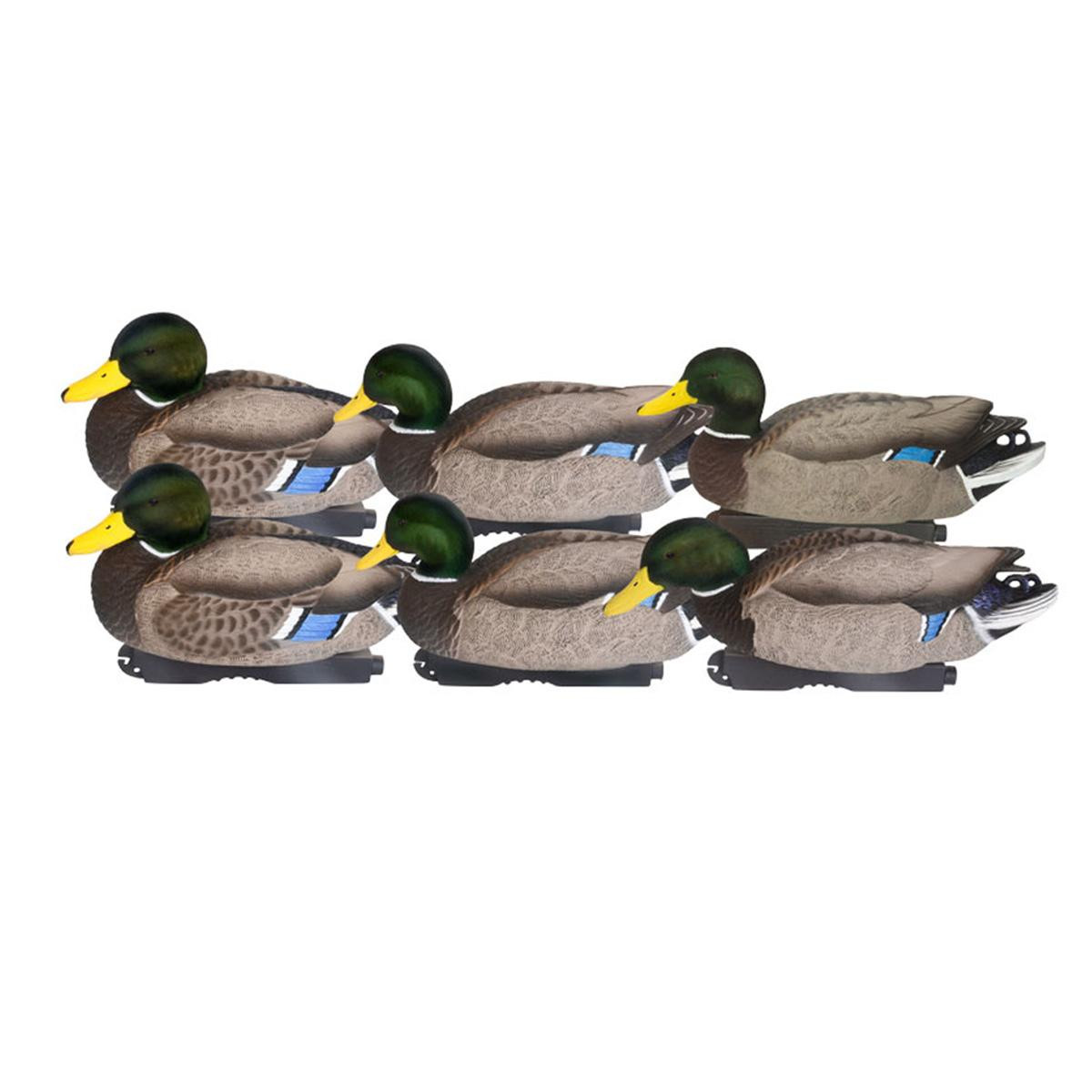 Avian-X Open Water Floating Mallard Duck Decoys, 6 Pack | Rogers ...