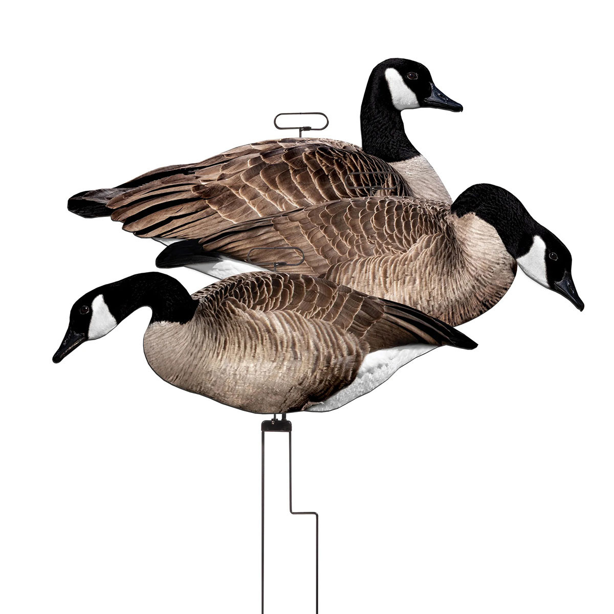 Heavy Hauler Cupped and Committed Motion Decoy, Canada Goose Single ...