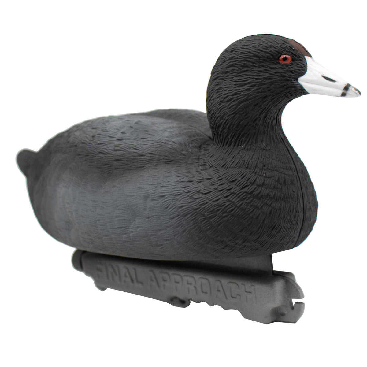 Final Approach Last Pass Floating Coots Decoys, 12 Pack | Rogers ...