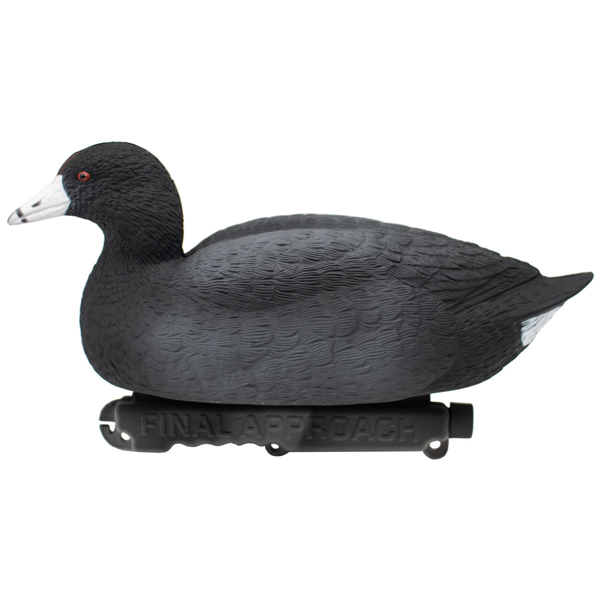 Final Approach Last Pass Floating Coots Decoys, 12 Pack | Rogers ...