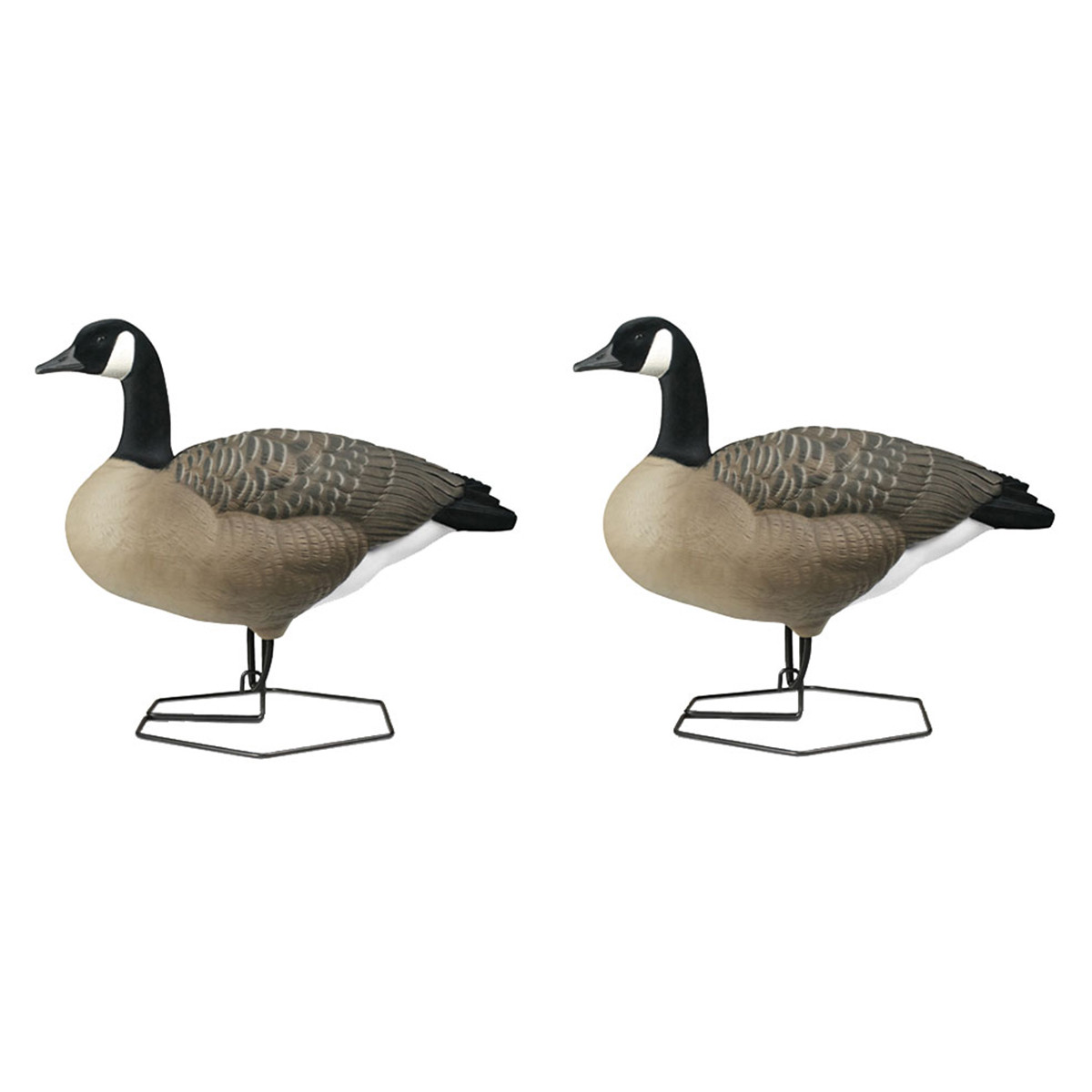 DOA Decoys Rogue Series Full Body Canada Goose Decoys | Rogers Sporting ...