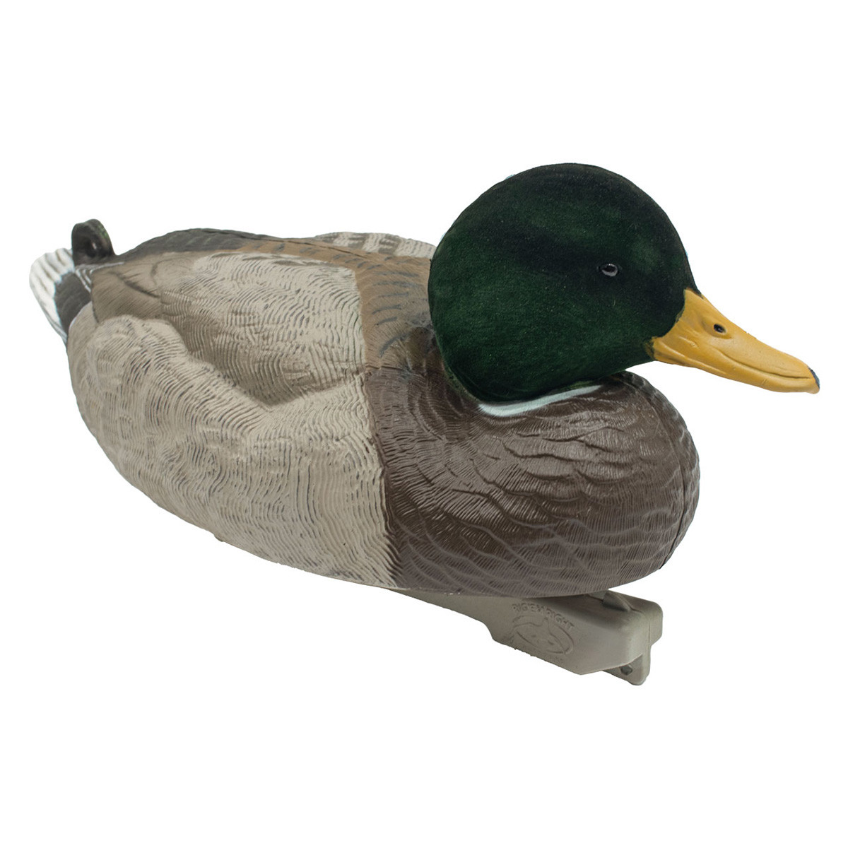 Rig'Em Right Mallard Duck Decoys with Drake Flocked Heads, 12 Pack ...