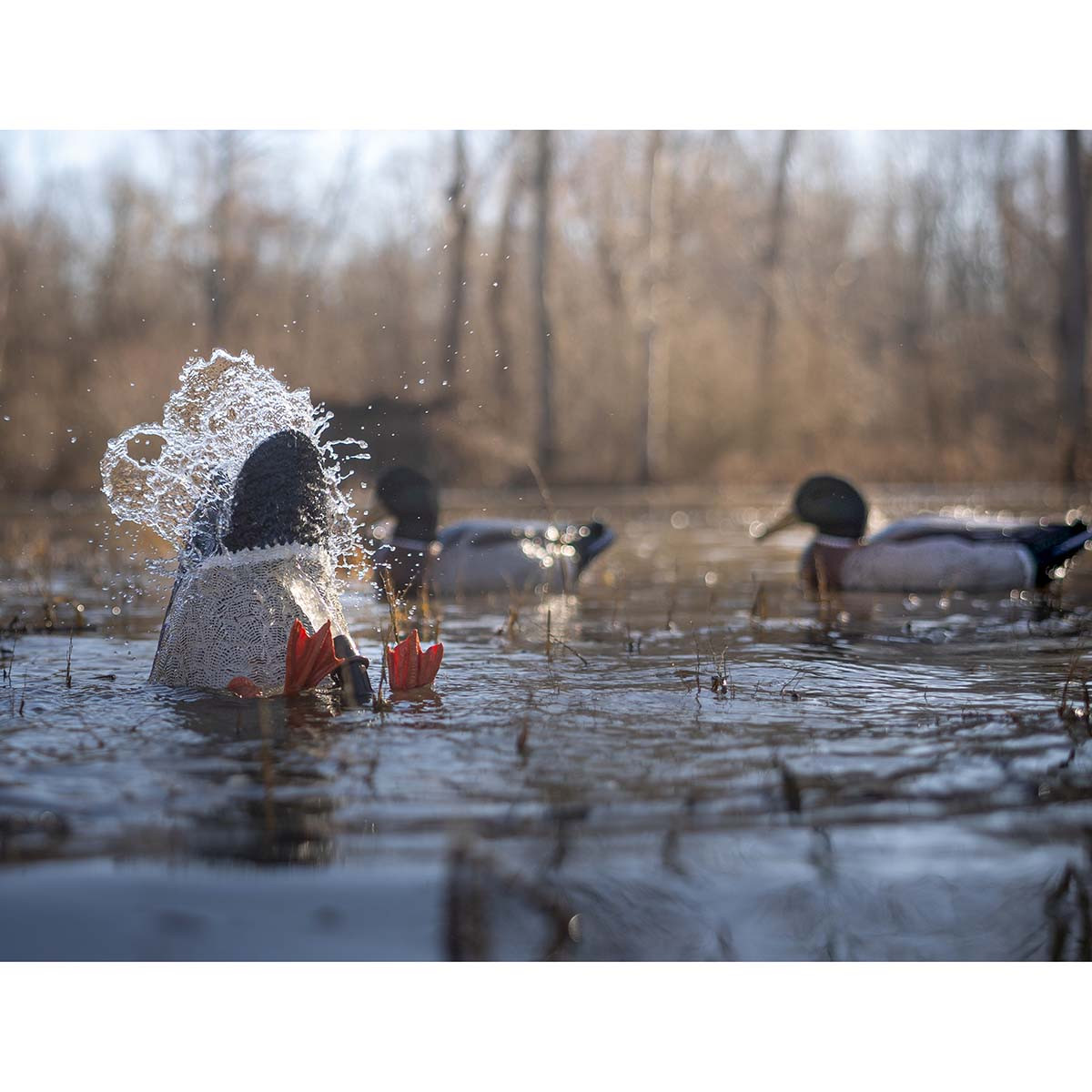 Higdon Outdoors Pulsator Pro Mallard Drake Guide Pack | Rogers Sporting ...