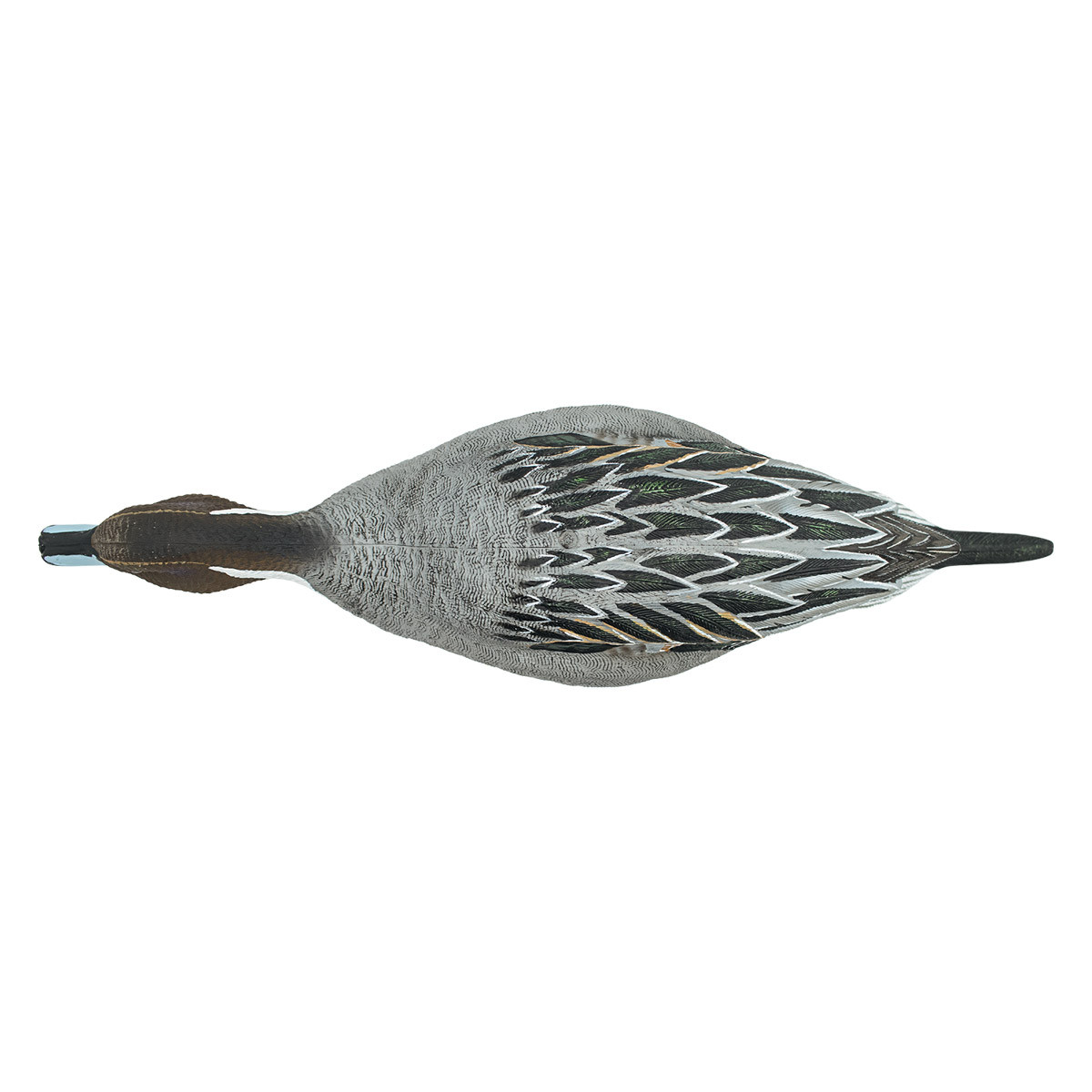 Final Approach HD Full Body Pintail Decoys | Rogers Sporting Goods