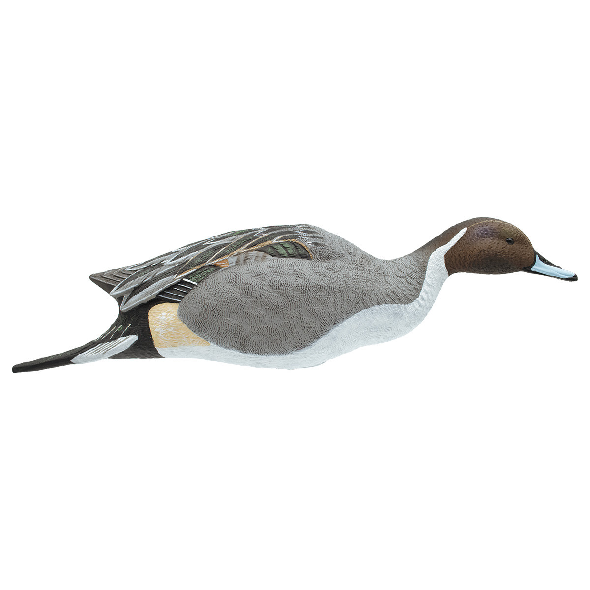 Final Approach HD Full Body Pintail Decoys | Rogers Sporting Goods