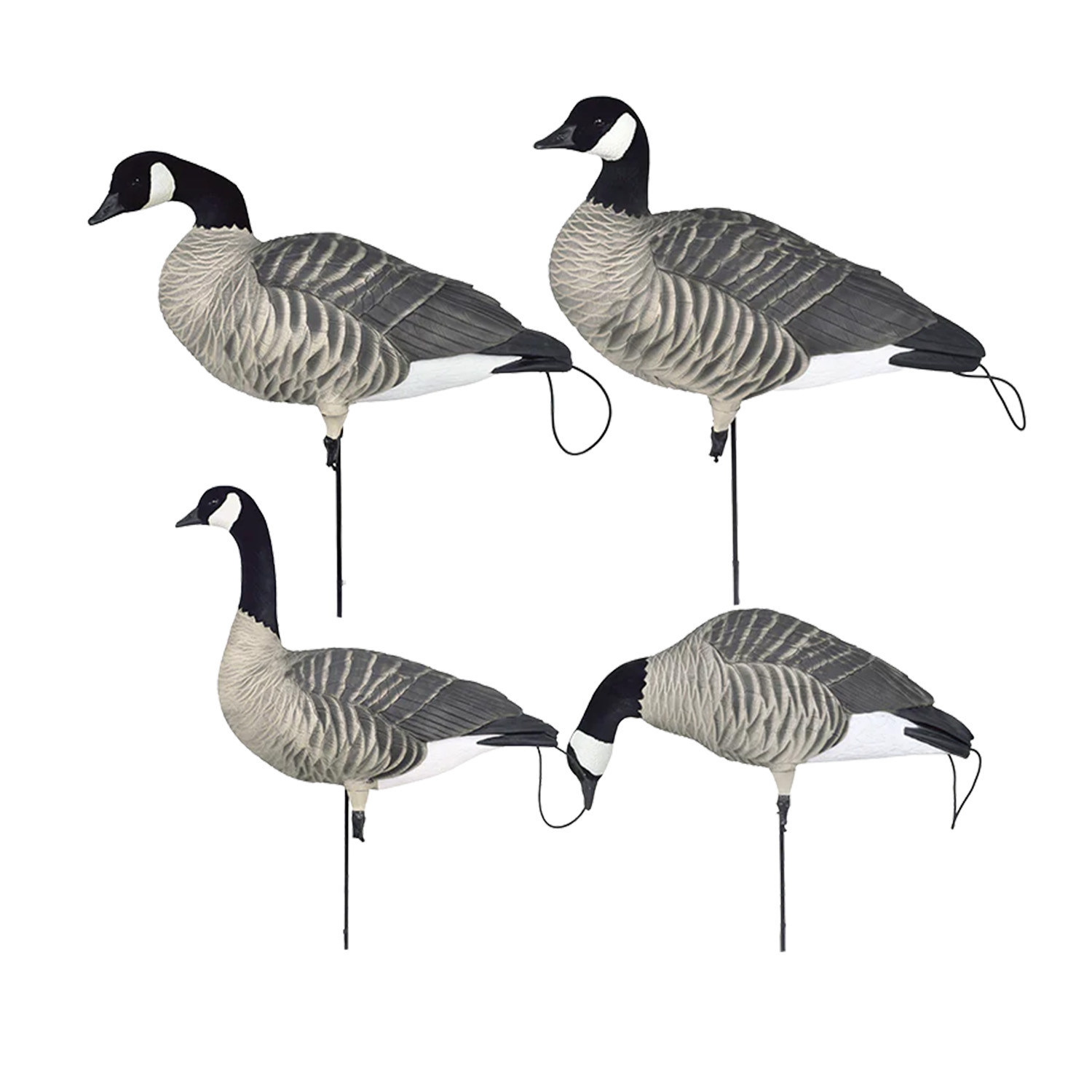 GHG Decoy Systems | Rogers Sporting Goods
