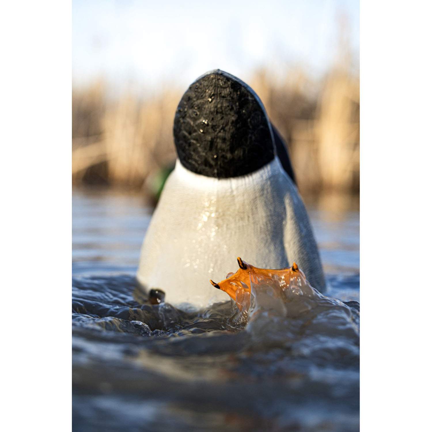 Avian-X Power Kicker Floating Duck Decoys | Rogers Sporting Goods