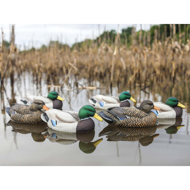 Heyday Outdoors HydroFoam Mallard Decoys | 6 Pack | Rogers Sporting Goods
