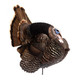 Dave Smith Decoys Jake Strutter White Face Turkey Decoy | Rogers ...