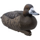 Final Approach Live Floating Bluebill Duck Decoys, 6 Pack | Rogers ...