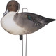 Big Als Decoys Pinnie Pack Pintail Silhouettes 12 Pack | Rogers ...