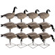 Final Approach Live Full Body Feeder & Upright Honker Decoys | Rogers ...