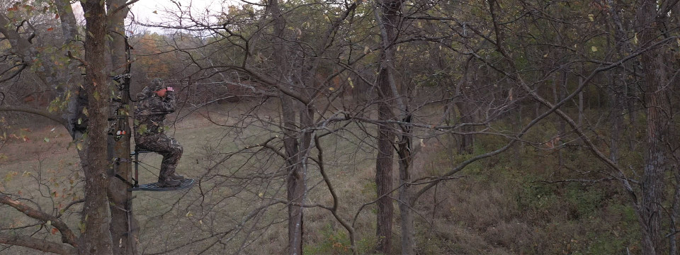 Rogers Sporting Goods