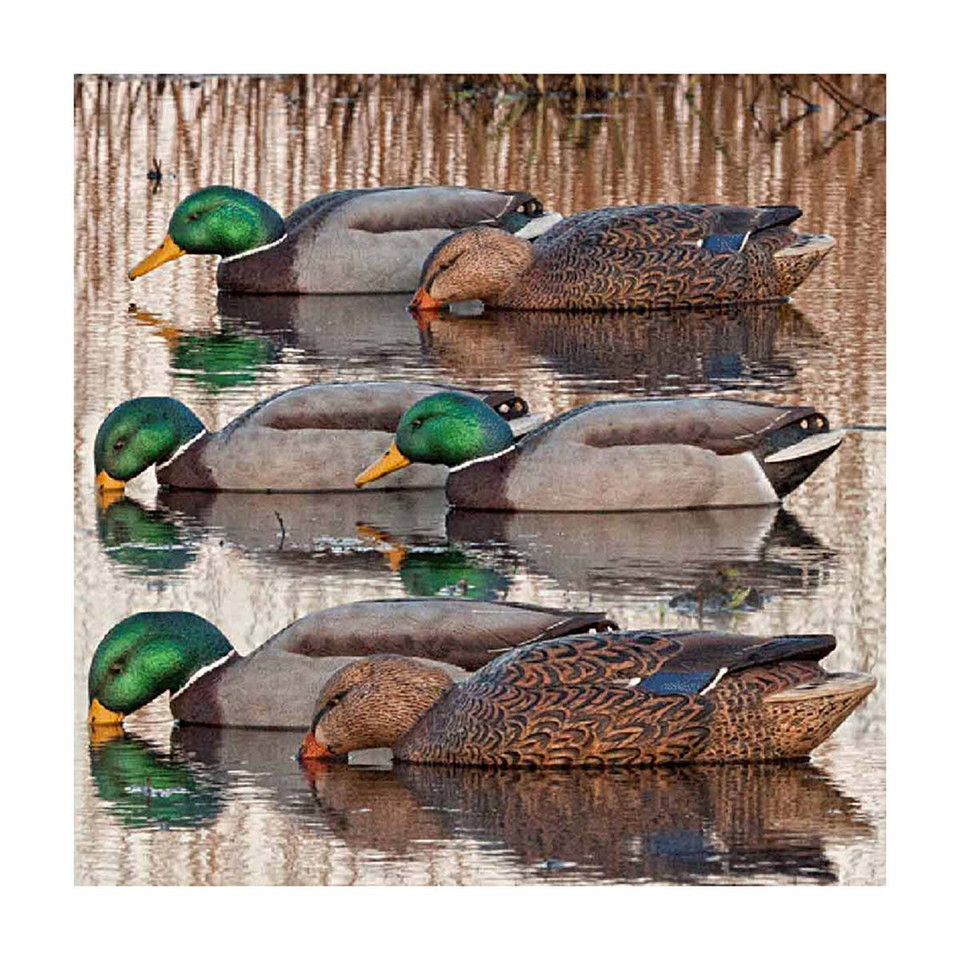 Avian-X Open Water Floating Mallard Duck Decoys, 6 Pack | Rogers ...