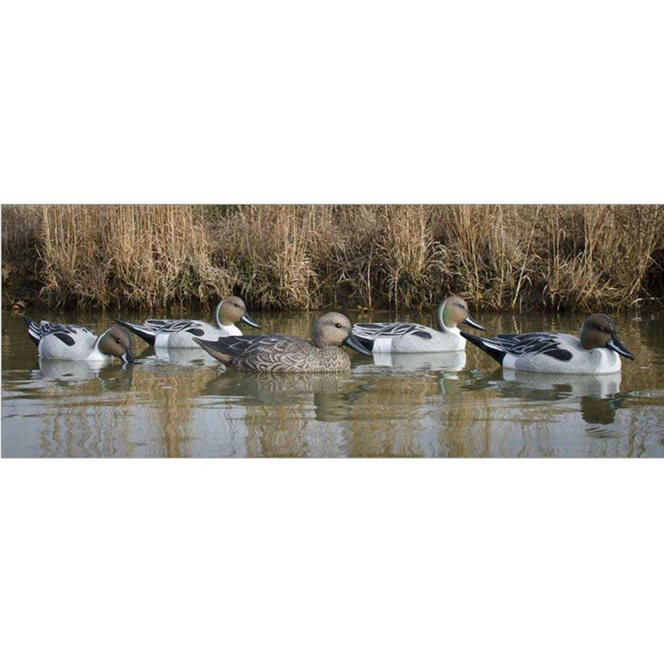 Higdon Standard Wood Duck Foam Filled Decoys - 6 Pack | Rogers Sporting ...
