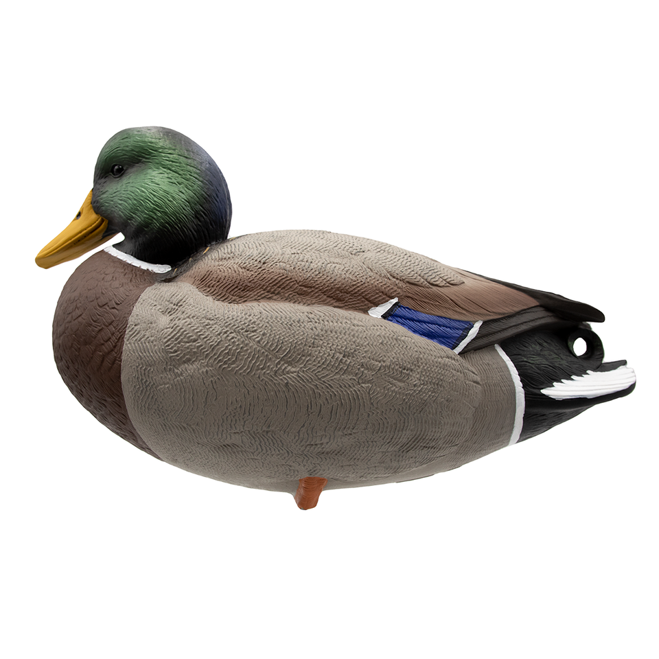 Final Approach Live Full Body Mallard Decoys | 12 Pack | Rogers ...