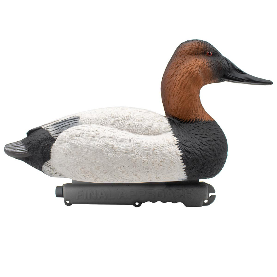 Final Approach Live Floating Canvasback Duck Decoys, 6 Pack | Rogers ...