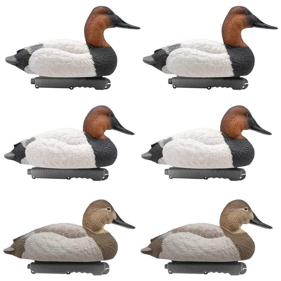 Final Approach Live Floating Canvasback Duck Decoys, 6 Pack | Rogers ...