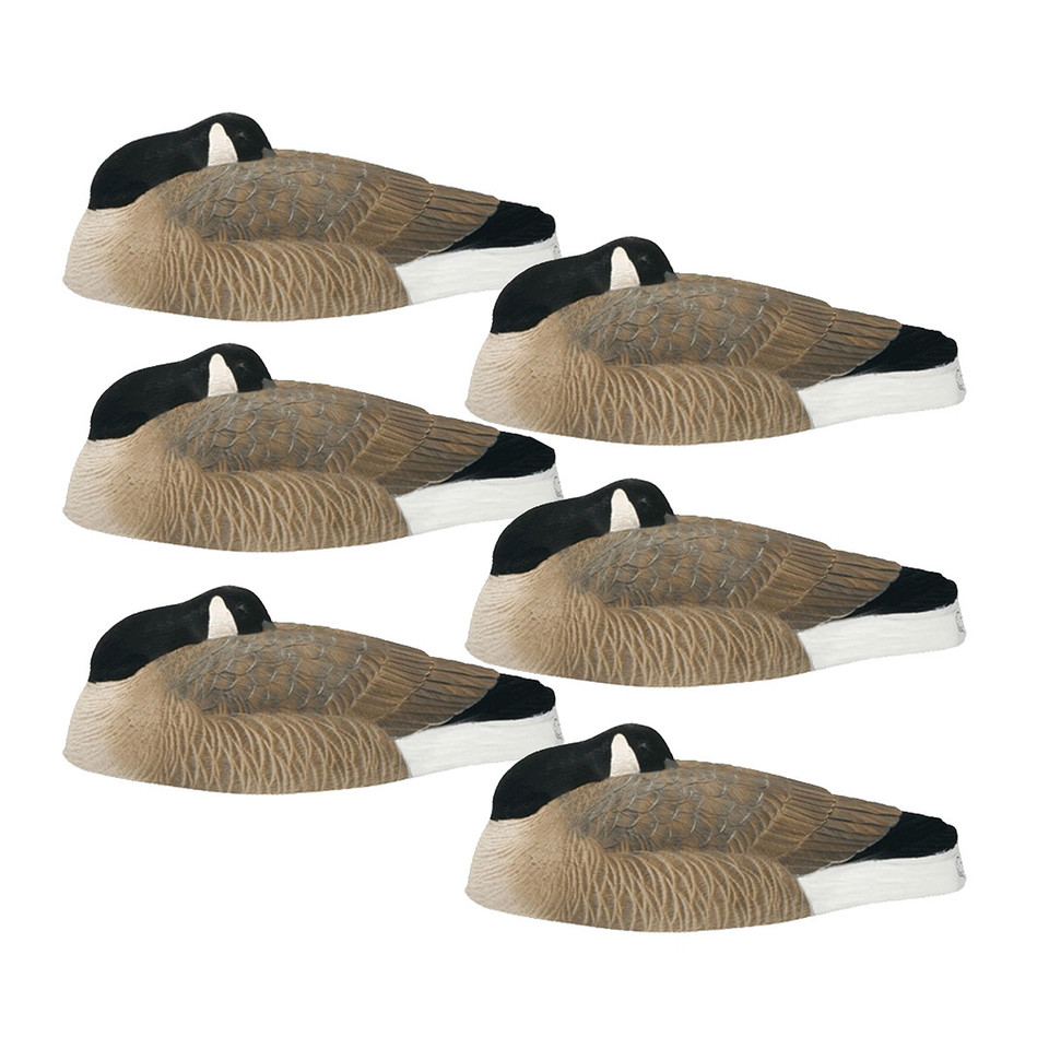 Big Foot Oversized Canada Goose Sleeper Shell Decoys - 6 Pack | Rogers ...