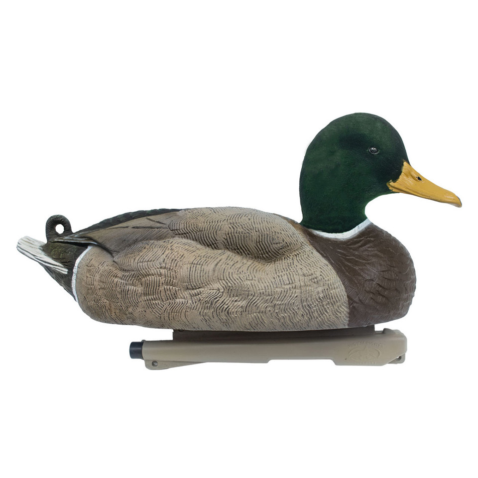 Rig'Em Right Mallard Duck Decoys with Drake Flocked Heads, 12 Pack ...