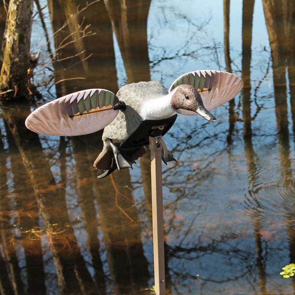 MOJO Outdoors Elite Series Pintail Duck Spinning Wing Decoy | Rogers ...