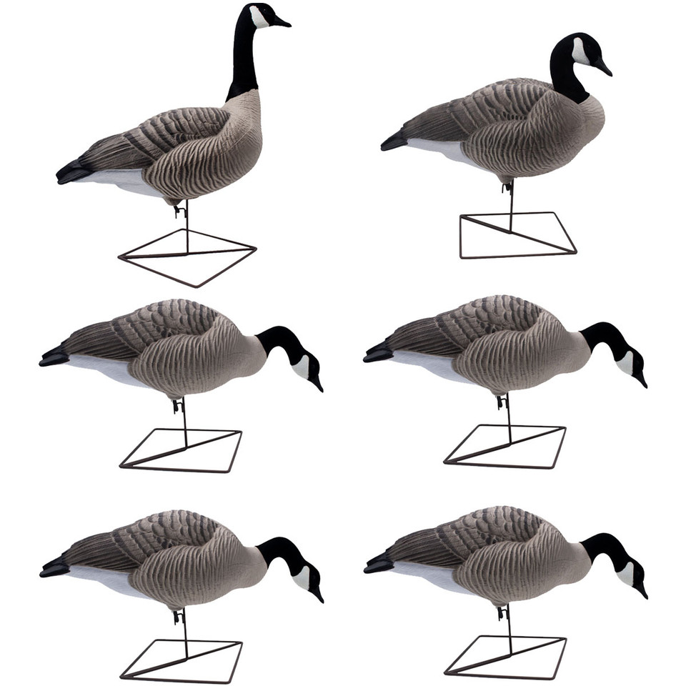Final Approach Waterfowl | Rogers Sporting Goods