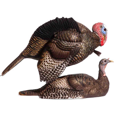 Dave Smith Decoys Mating Motion Pair Turkey Decoys | Rogers Sporting Goods