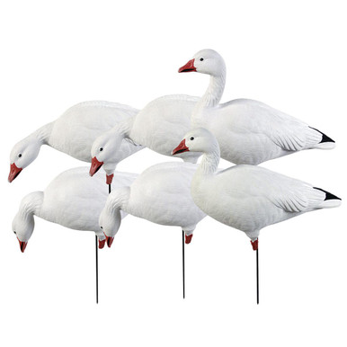 GHG Pro Grade Full Body Snow Goose Decoys Harvester Pack | 6 Pack ...