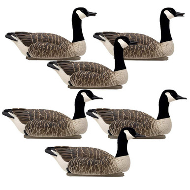 Avian-X Honker Floater Canada Goose Decoys | 6 Pack | Rogers Sporting Goods