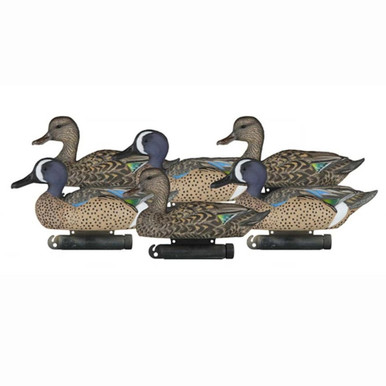 Dakota Decoys X-Treme Blue-Winged Teal Duck Decoys, 6 Pack | Rogers ...