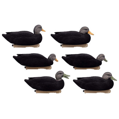 Final Approach Live Flocked Black Ducks | Rogers Sporting Goods