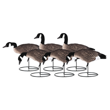 Dakota Decoys Fully Flocked Lesser Goose Decoy | Rogers Sporting Goods