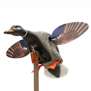 MOJO Outdoors Elite Series Mini Mallard Drake Spinning Wing Decoy ...