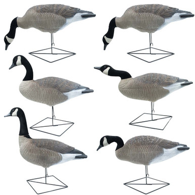 BigFoot Decoys B2 Extreme Motion Full Body Canada Goose Decoys | Rogers ...