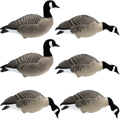 Final Approach HD Full Body Lessers Goose Decoy | Rogers Sporting Goods
