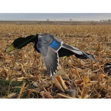 Sillosocks Wingbeat Mallard Drake Power Flapper | Rogers Sporting Goods