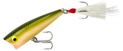 Rebel Magnum Pop-R - Tennessee Shad - TackleDirect