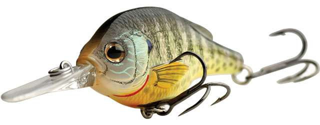 LIVETARGET Lures Bluegill Crankbait BG57M Medium Dive 2.25in